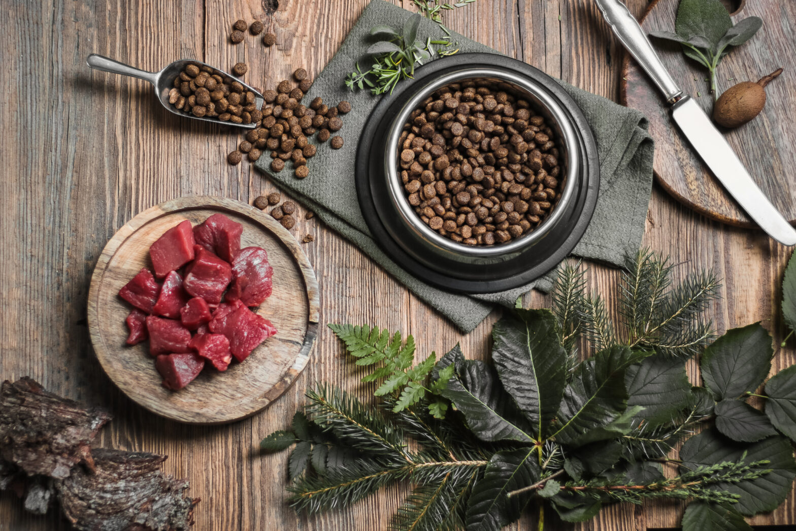 The benefits of natural pet foods - If Pets Could Talk